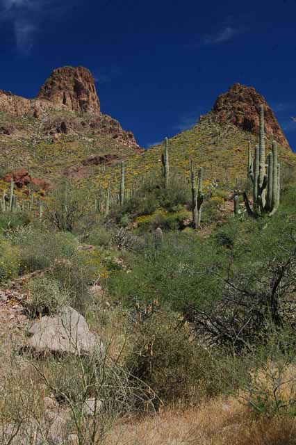 The Apache Trail