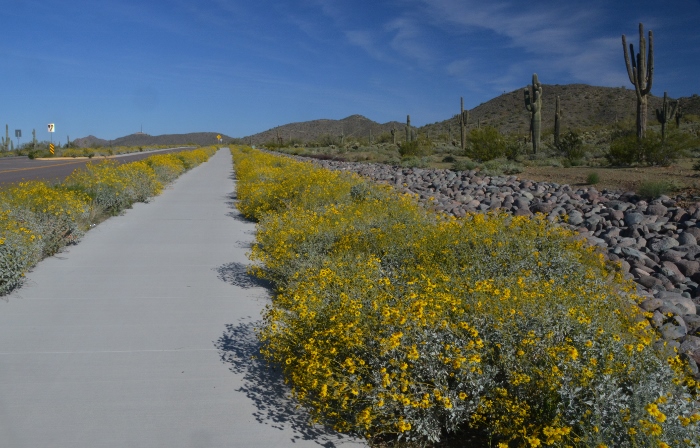 The Apache Wash Bike Trail