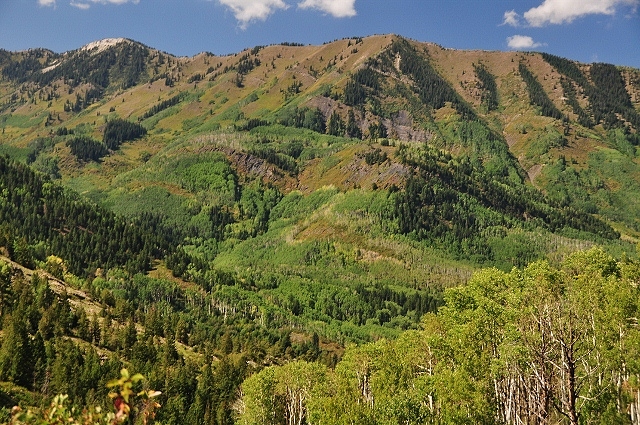 Lead King Basin