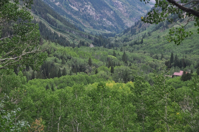 Lead King Basin