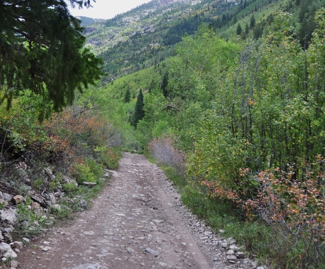 Lead King Basin