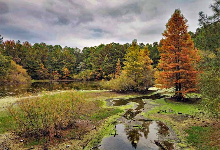 Aiken, South Carolina