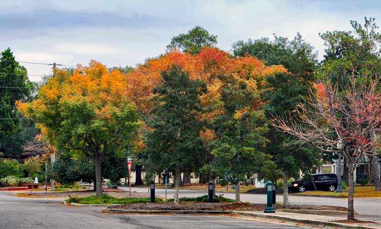 Aiken, South Carolina