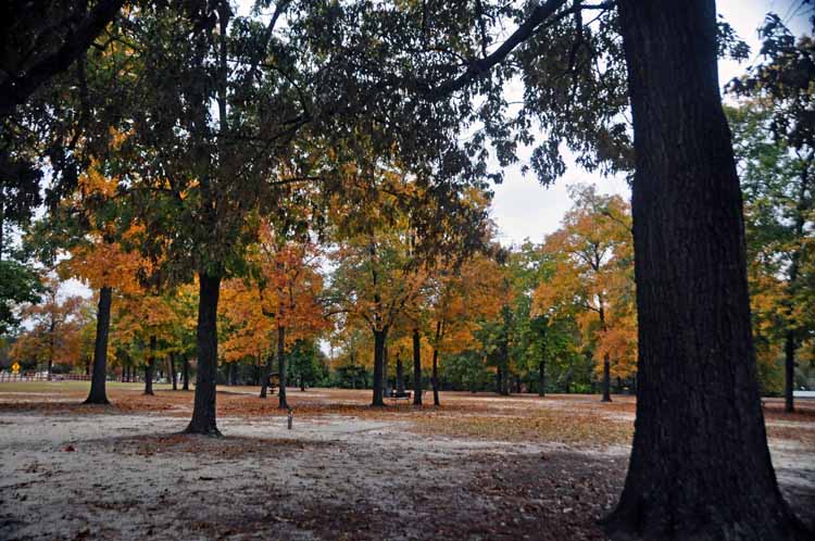 Aiken, South Carolina